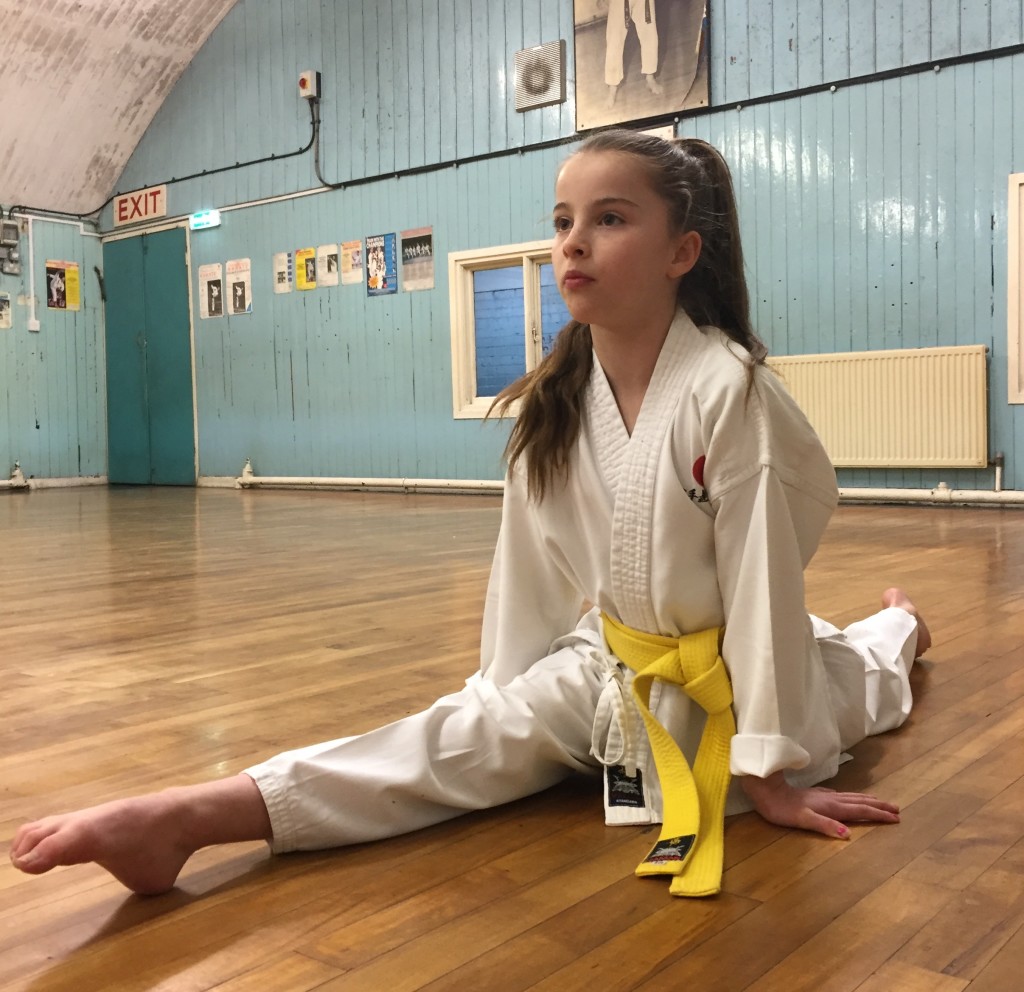 Kamae Standard Gi